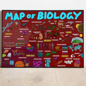 The Map of Biology Poster Wall Art, Educational Biology Poster for ...