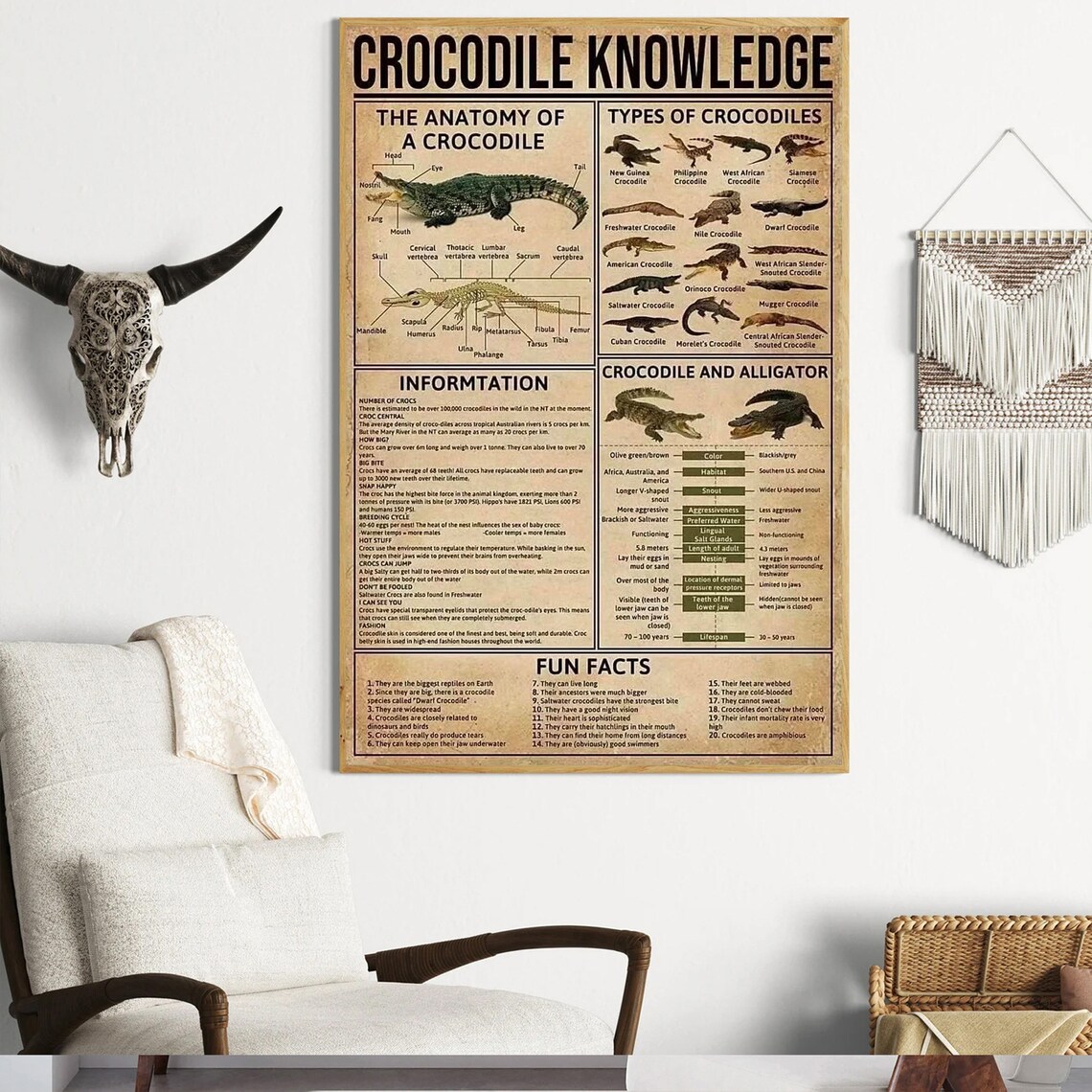 Crocodile Knowledge Poster – Anatomy & Fun Facts – Educational ...