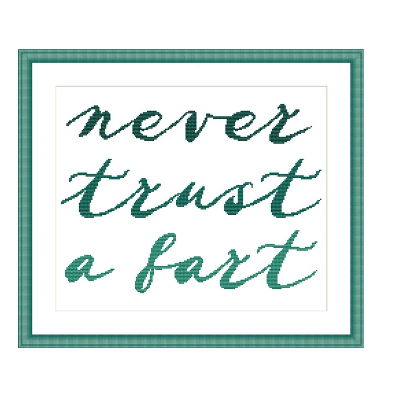Cross Stitch Fart - Etsy