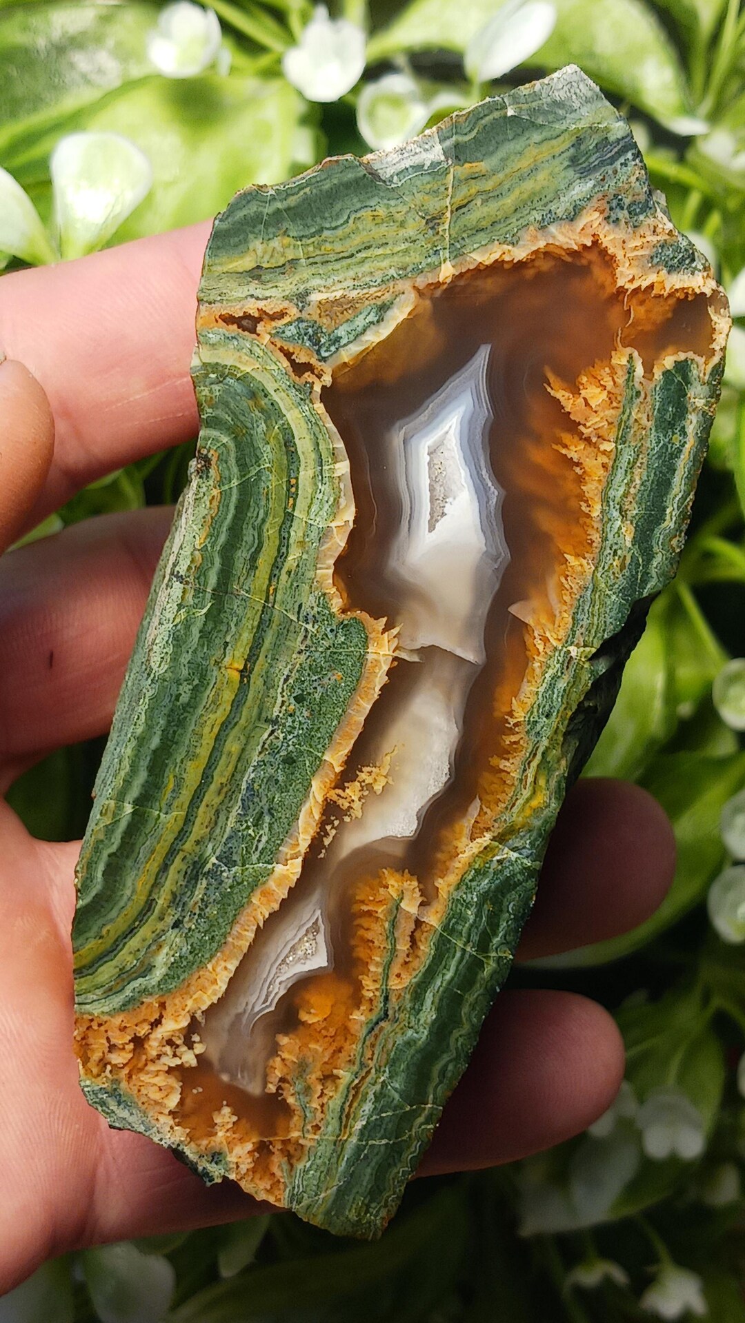 Orpheus Agate Display Specimen, Polished Agate, Green Agate, Rare Agate ...