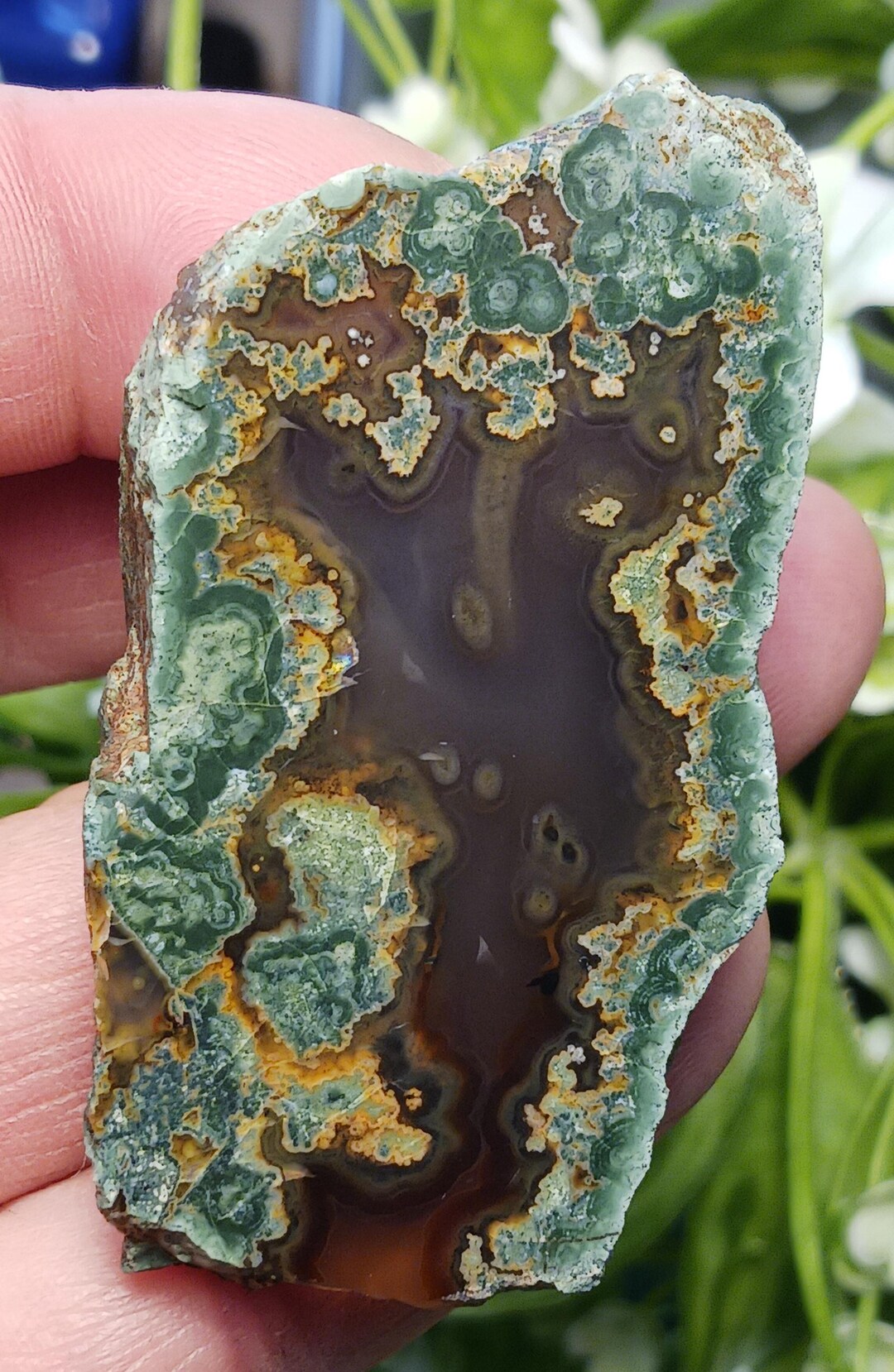 Orpheus Agate Display Specimen, Polished Agate, Green Agate, Rare Agate ...