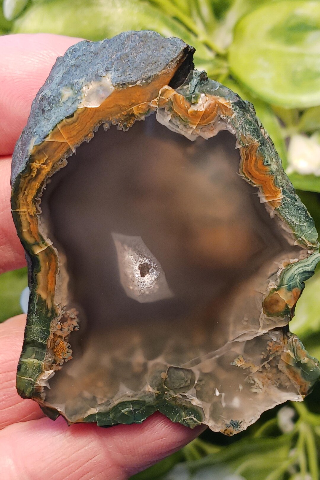 Orpheus Agate Display Specimen, Polished Agate, Green Agate, Rare Agate ...