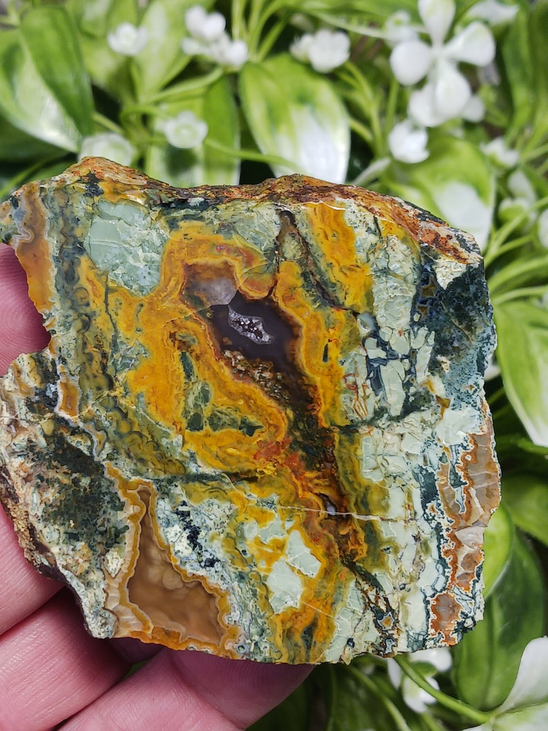 Orpheus Agate Display Specimen, Polished Agate, Green Agate, Rare Agate ...