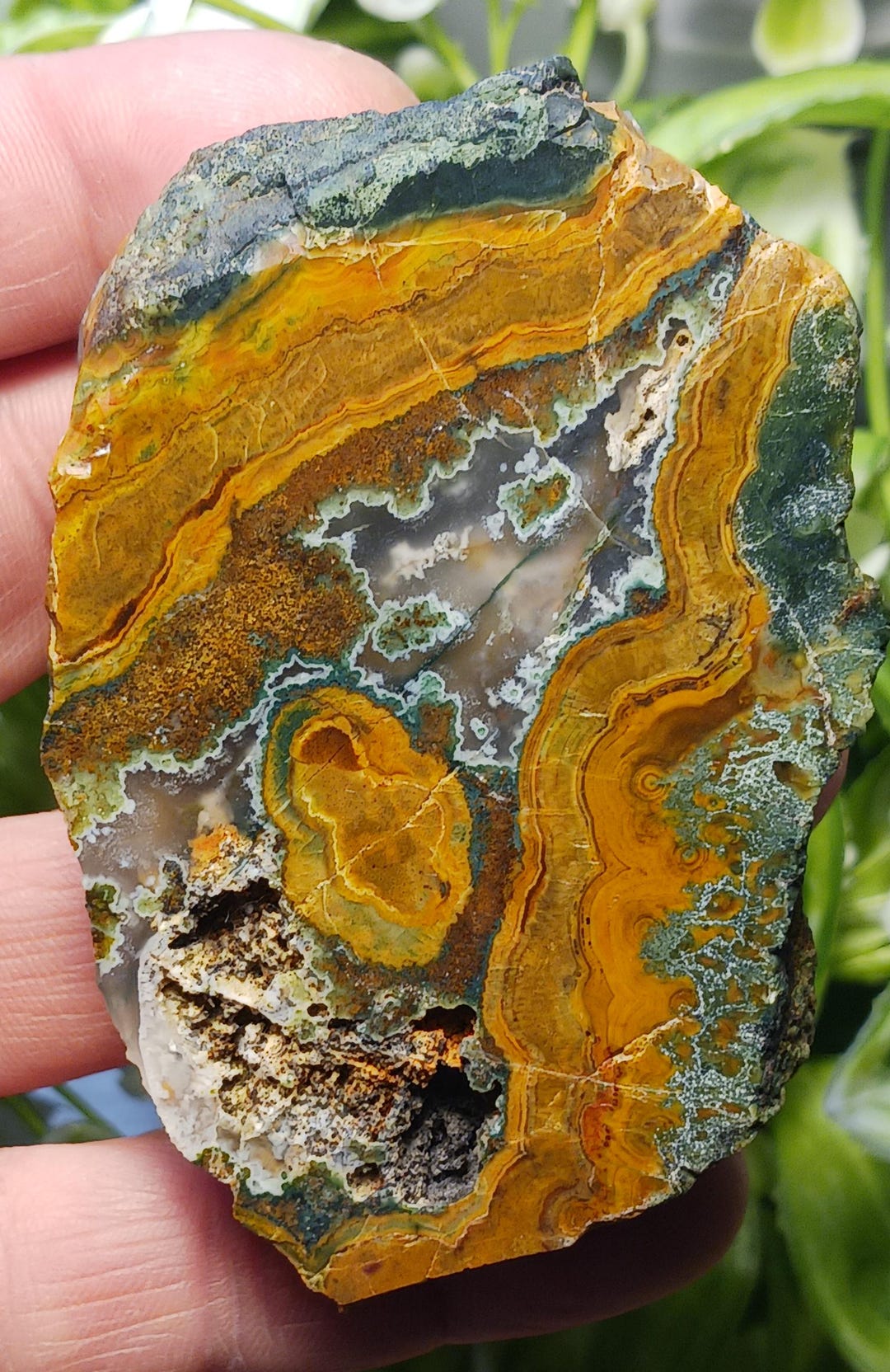 Orpheus Agate Display Specimen, Polished Agate, Green Agate, Rare Agate ...