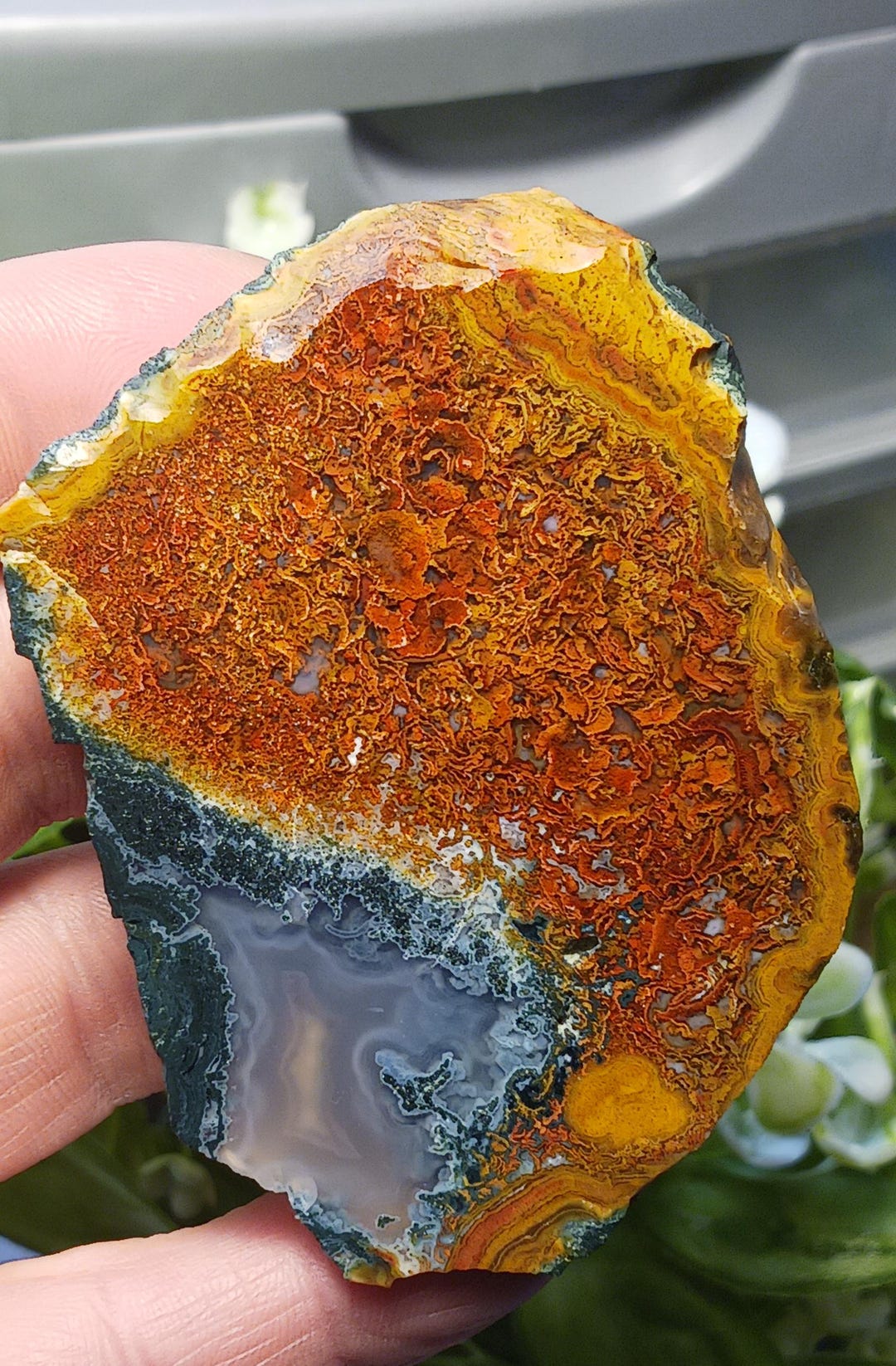 Orpheus Agate Display Specimen, Polished Agate, Green Agate, Rare Agate ...