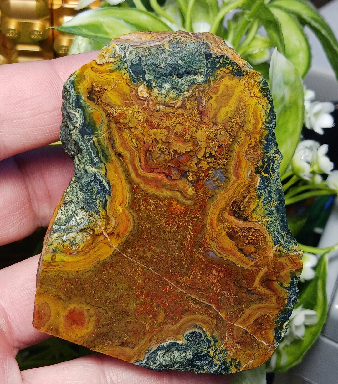 Orpheus Agate Display Specimen, Polished Agate, Green Agate, Rare Agate ...