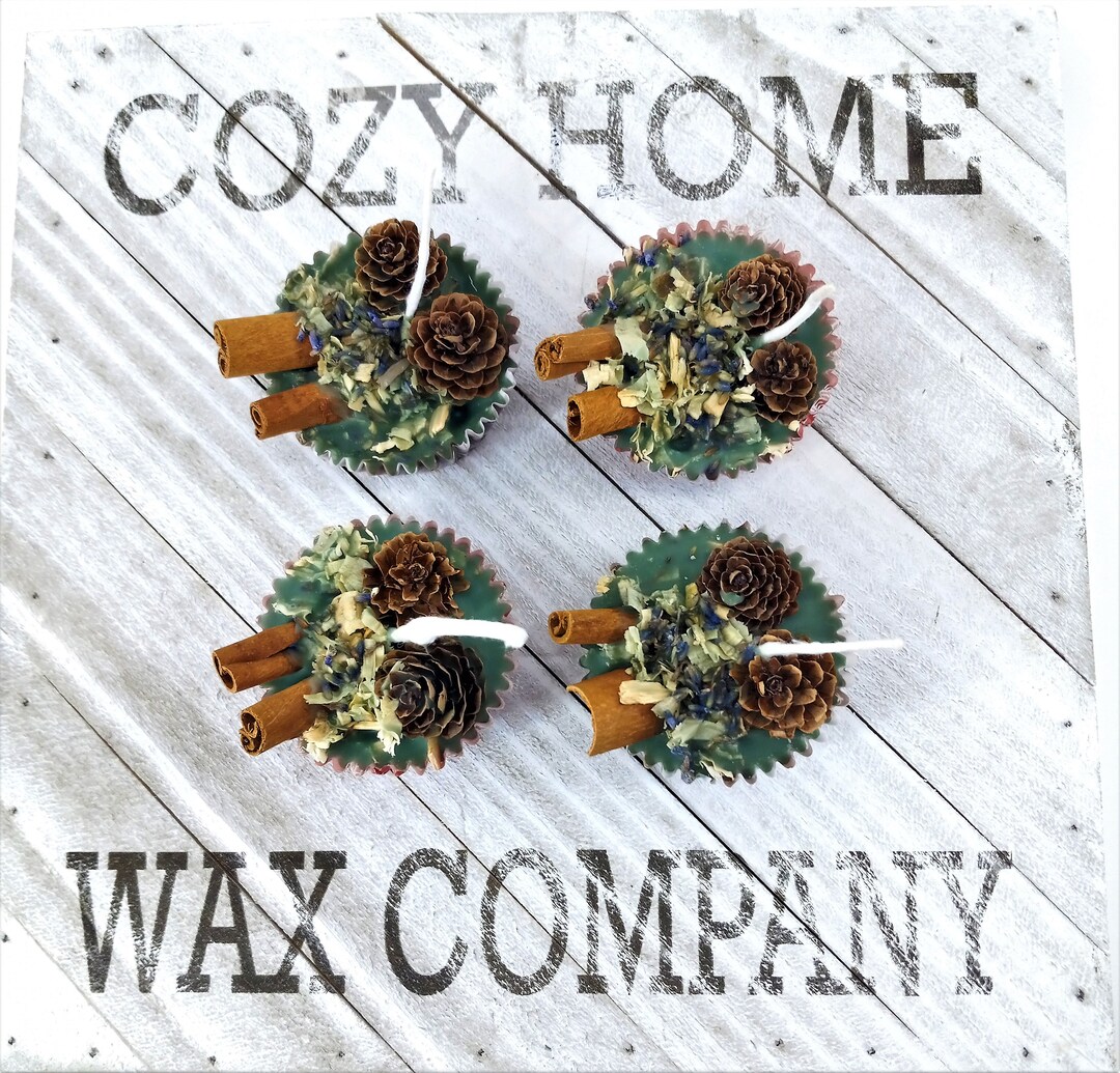 Fire Starter 2.3oz Wax Mountain Pine Pinecone Lavender Cinnamon Stick ...