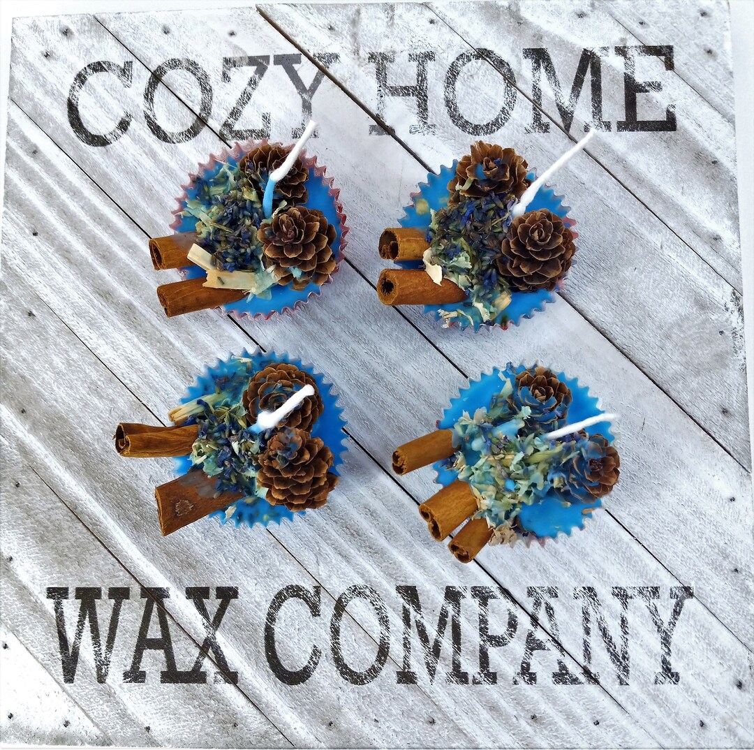 Fire Starter 2.3oz Wax Alpine Cheer Pinecone Lavender Bud Cinnamon ...