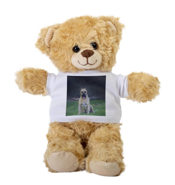 Perro De Presa Canario Teddy Bear Gift Stuffed Animal Plush - Etsy