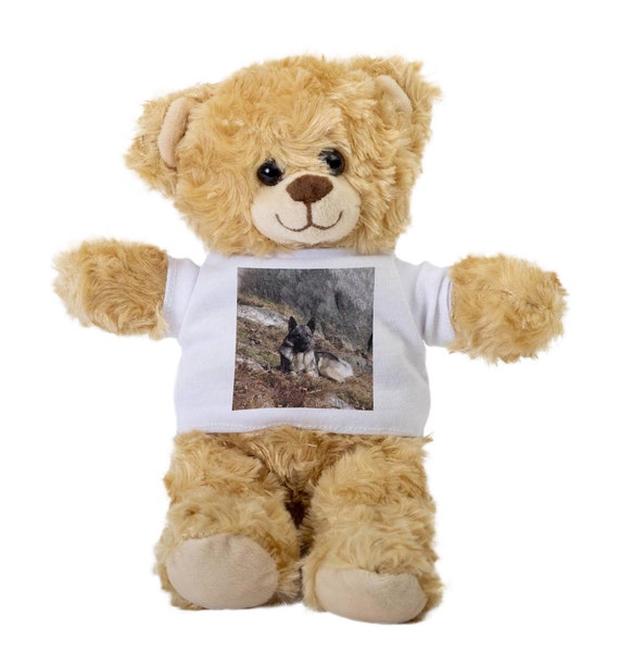 Teddy bear in norwegian store