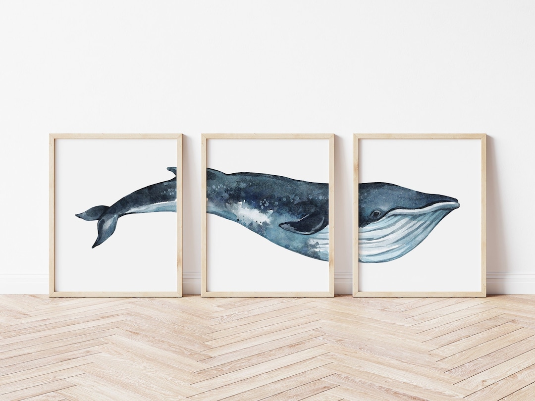 Whale Art Prints Printed and Shipped Ocean Nursery Art Print Whale Art ...