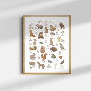 Woodland Alphabet Printed Art Print, Printed and Shipped Watercolor ...