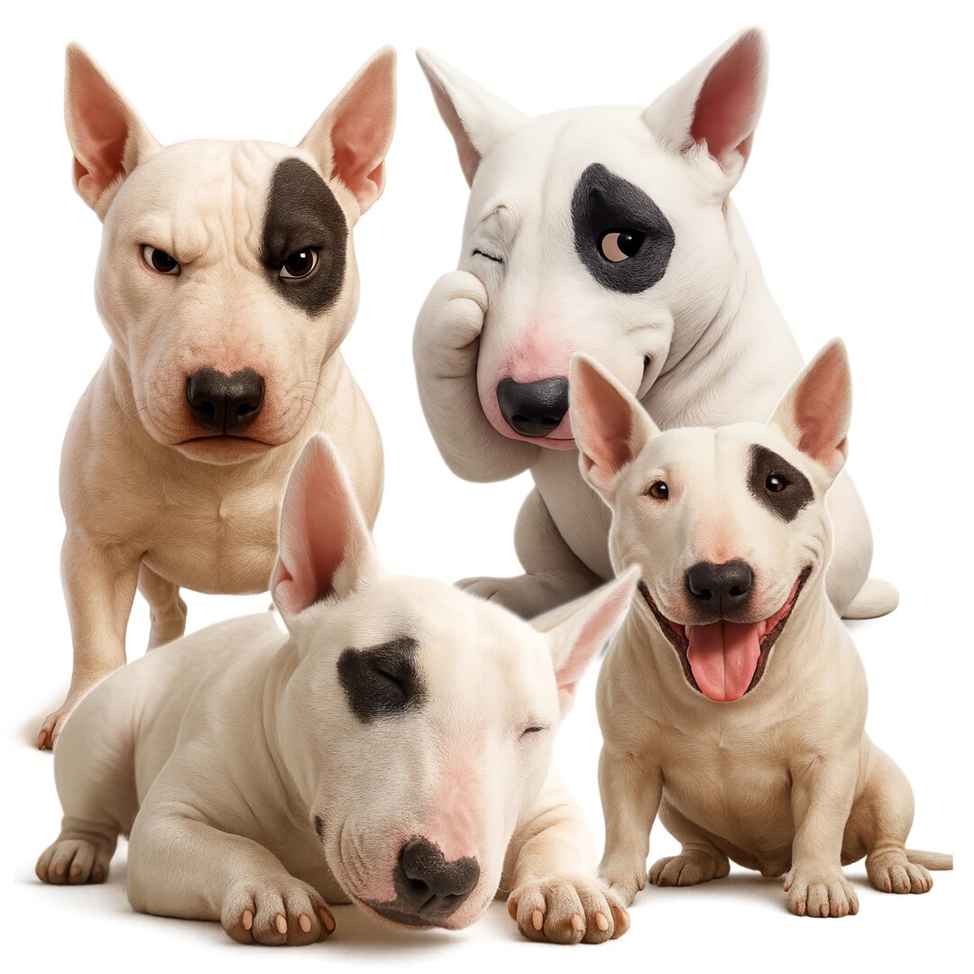 8 BULLTERIER Sticker Pack | PNG Digital Download | Clipart Bully Dog ...