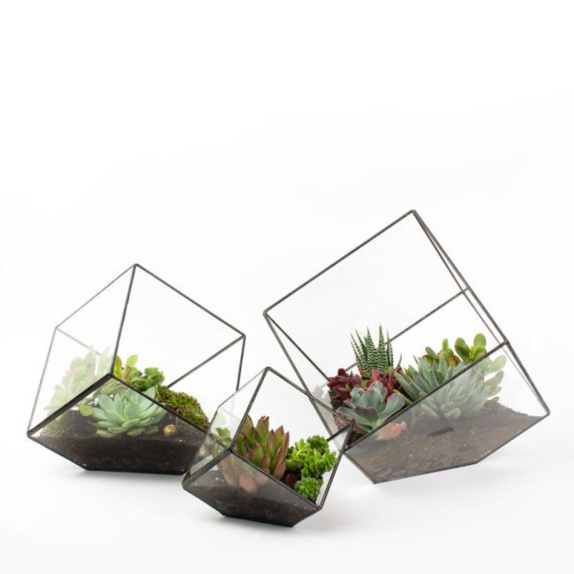 Juicykits Big Ol'rubix: Glass Cube Succulent Terrarium | Etsy