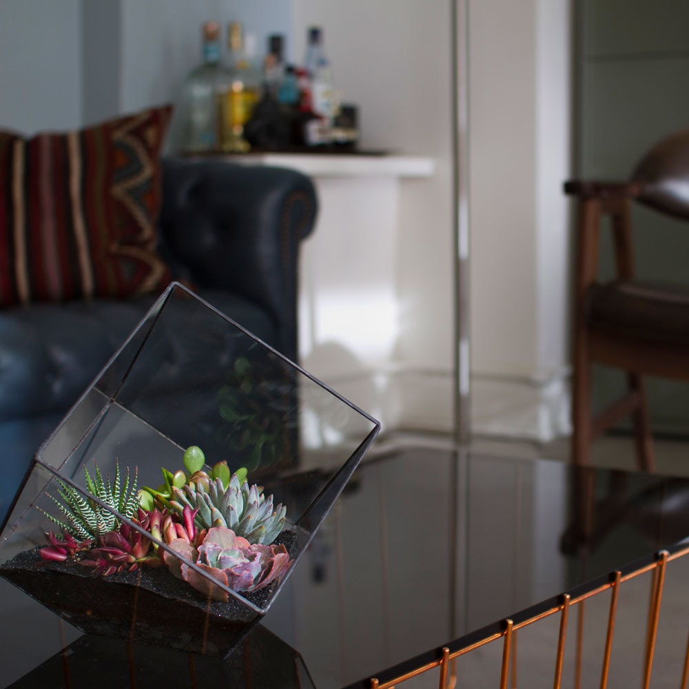 Juicykits Big Ol'rubix: Glass Cube Succulent Terrarium - Etsy