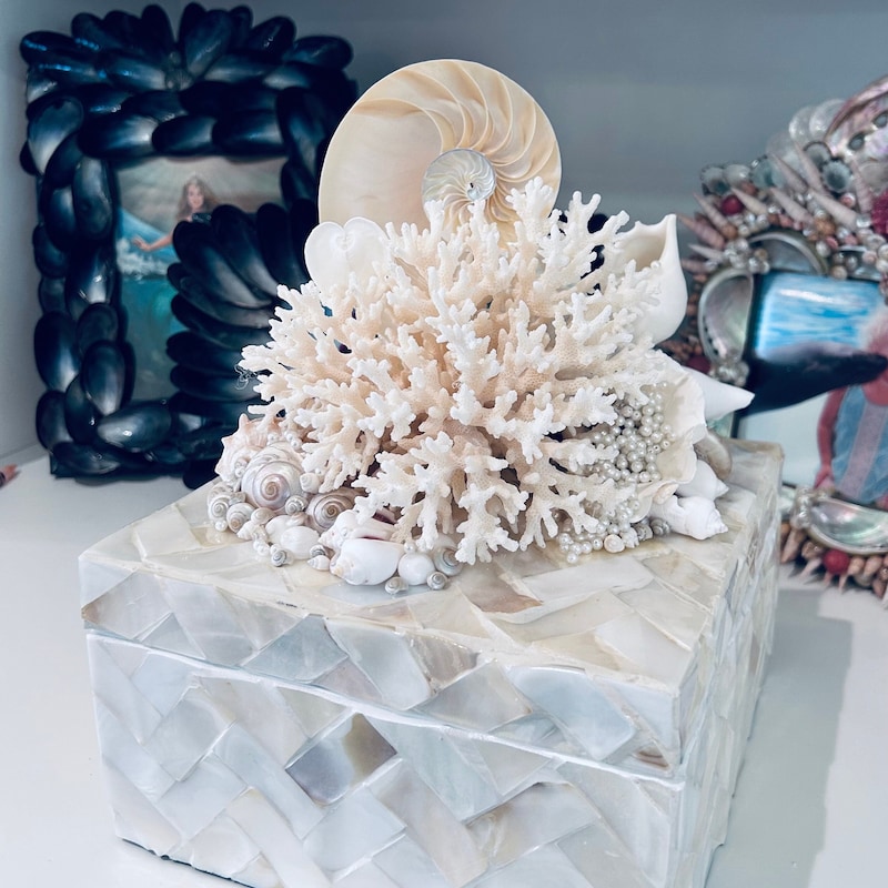 Seashell Box - Etsy