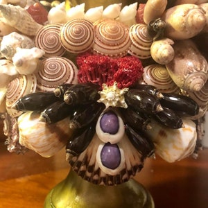 FREE SHIPPING, Sundial Seashells for Shell Art, Sailor's Valentines ...