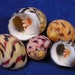 Bleeding Teeth Nerite Seashells for Crafts, Weddings, Favors, Gift ...