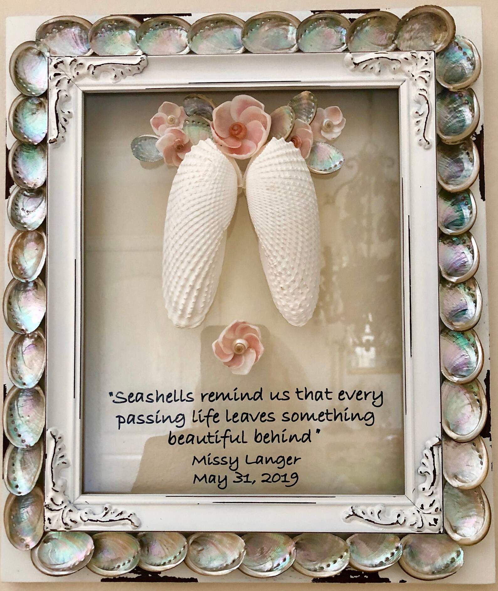 White Angel Wing Seashells for Crafts Shell Art Sailor's - Etsy