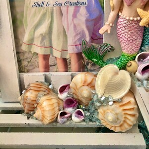 Medium True Heart Cockles for Home Decor, Crafts, Sailors Valentine’s ...