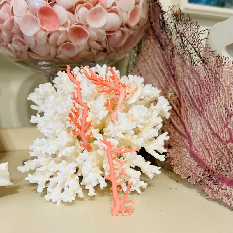 ShellandSeaCreations - Etsy