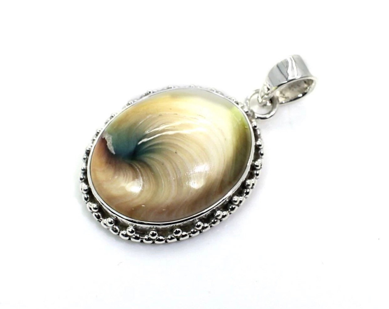 Green Turbo Operculum Cats Eye Shiva Shell for Crafts Shell - Etsy