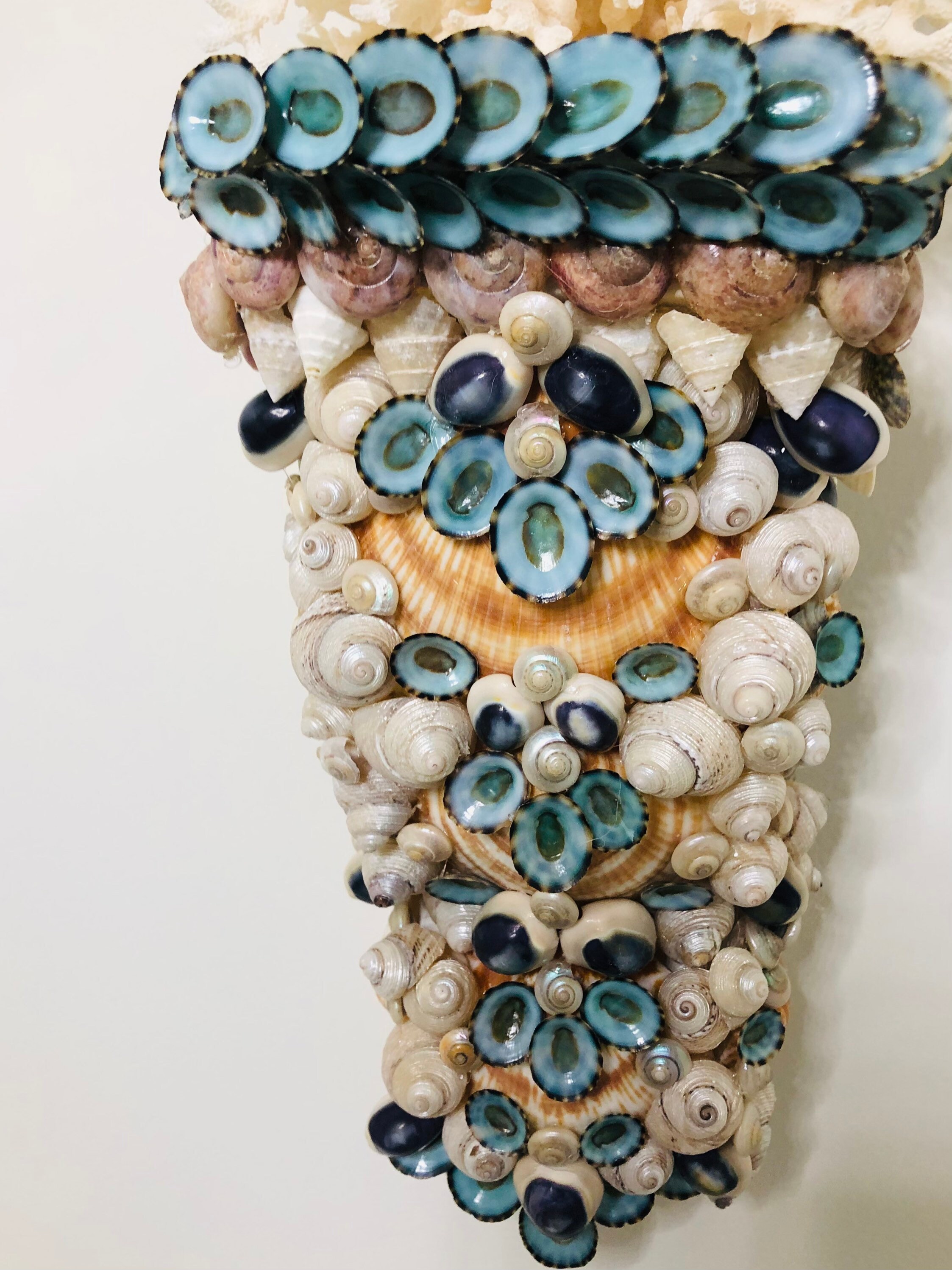Seashell Wall Sconce Shelf for Home and Coastal Decor - Etsy