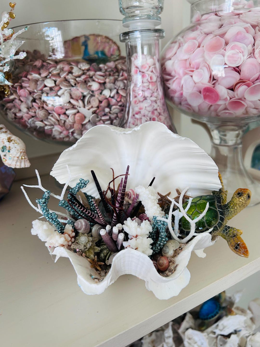 Clam Shell Underwater Diorama for Home and Coastal Decor, Wedding, Gift ...