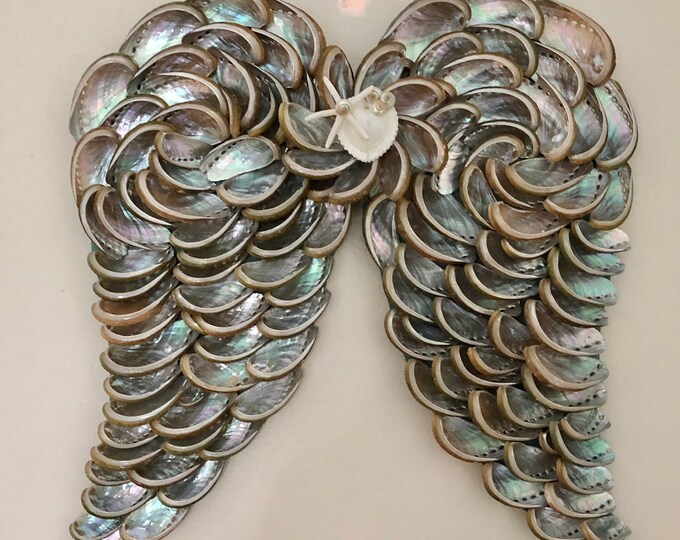 Abalone Seashell Angel Wings for Home Coastal Wall Beach - Etsy
