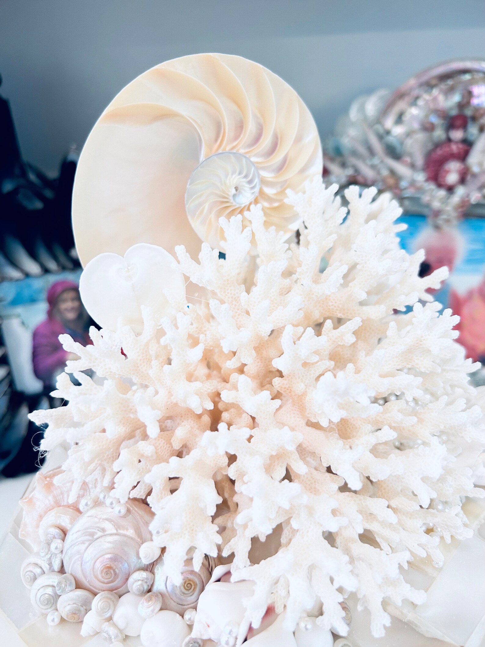 Coral and Seashell Mother of Pearl Inlay Box for Coastal and Home Decor ...
