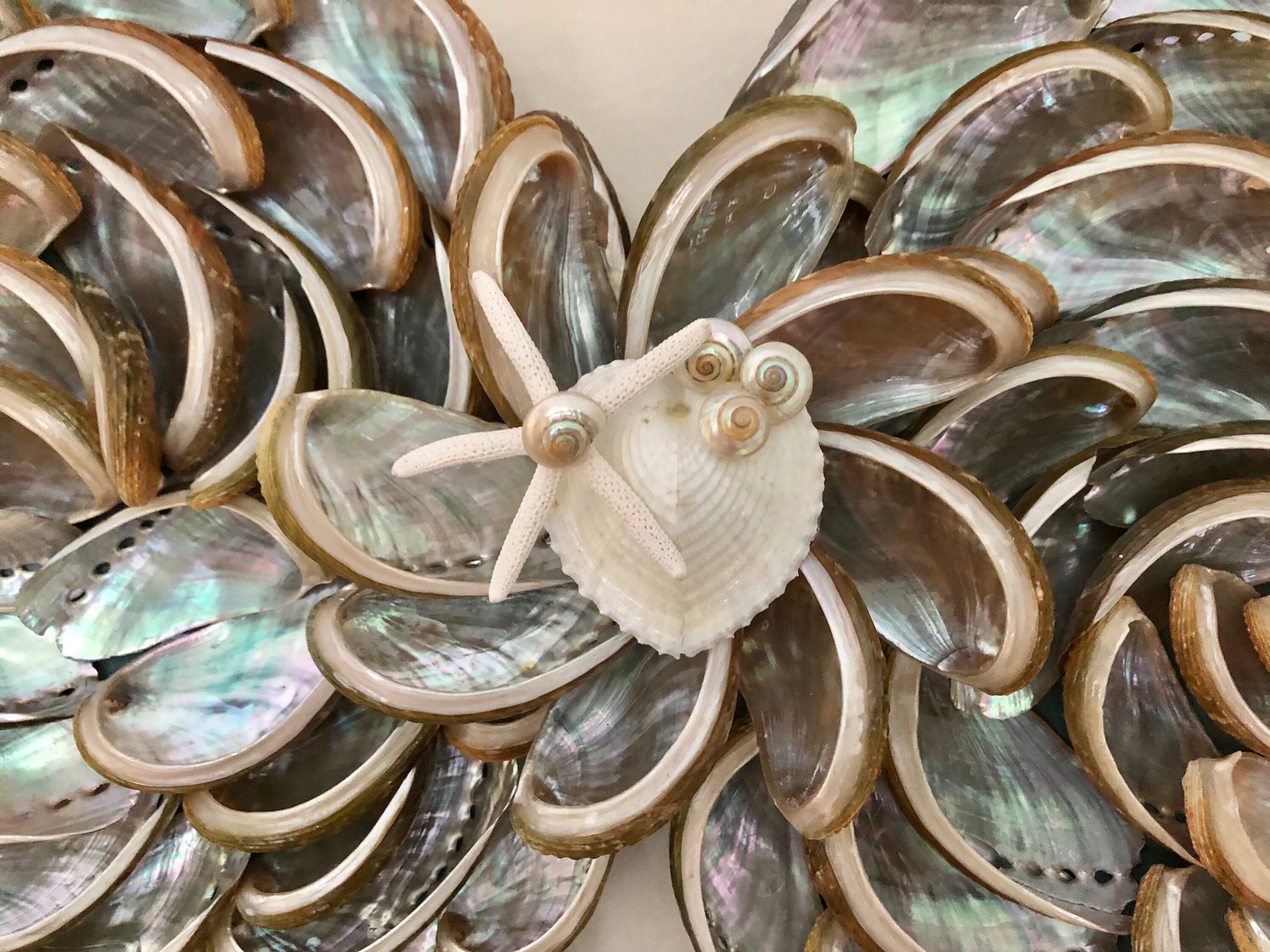 Abalone Seashell Angel Wings for Home Coastal Wall Beach - Etsy