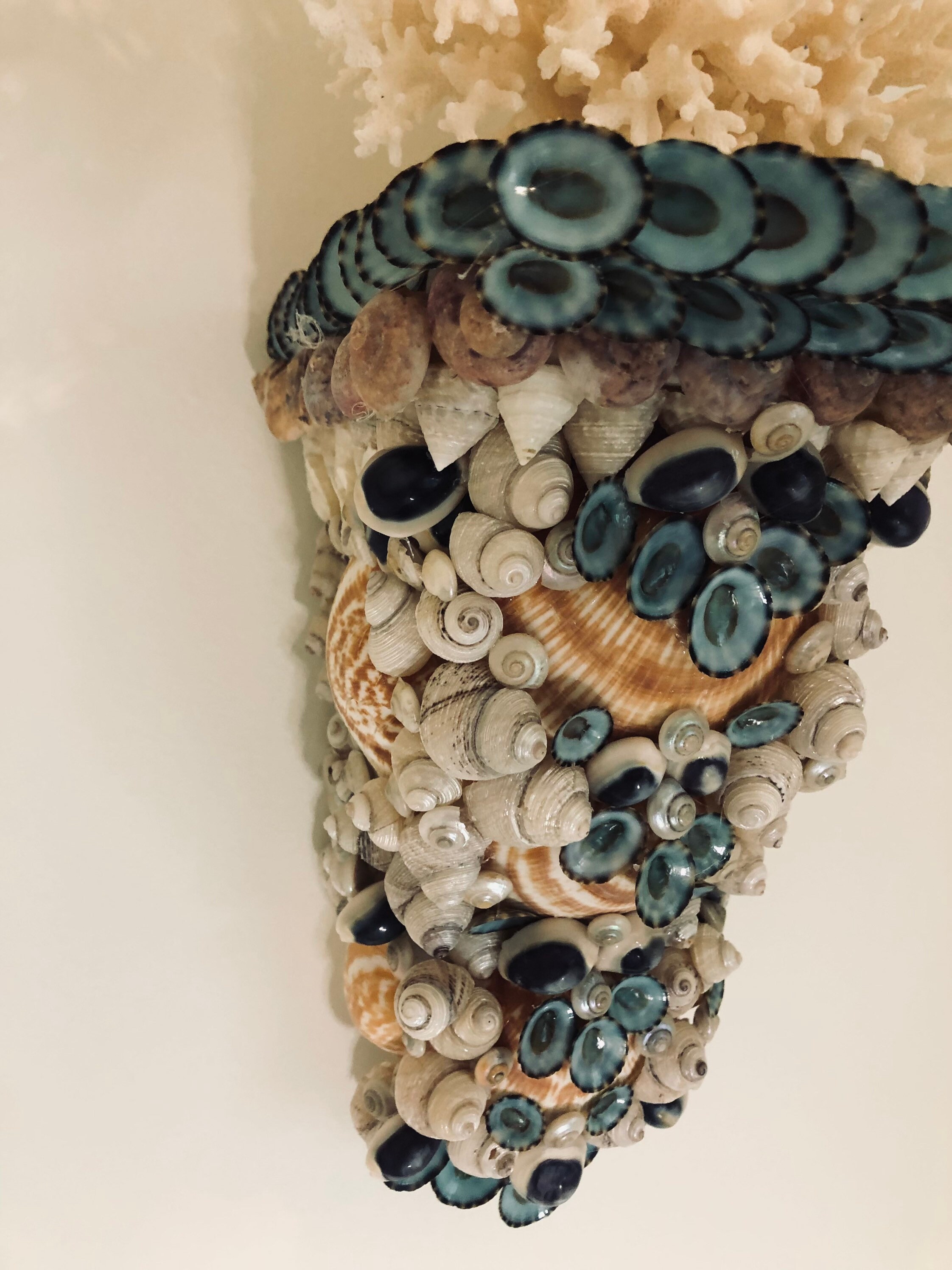 Seashell Wall Sconce Shelf for Home and Coastal Decor - Etsy