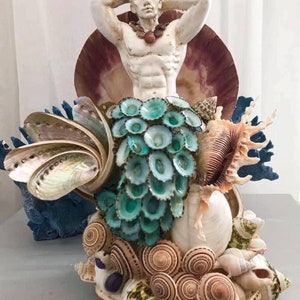 FREE SHIPPING, Sundial Seashells for Shell Art, Sailor's Valentines ...