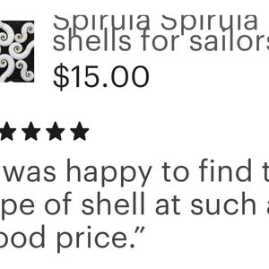 Spirula Spirula Shells for Sailors Valentines Shell Art - Etsy