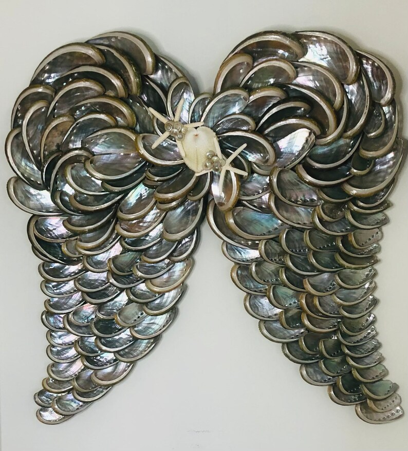 Abalone Seashell Angel Wings for Home Coastal Wall Beach - Etsy