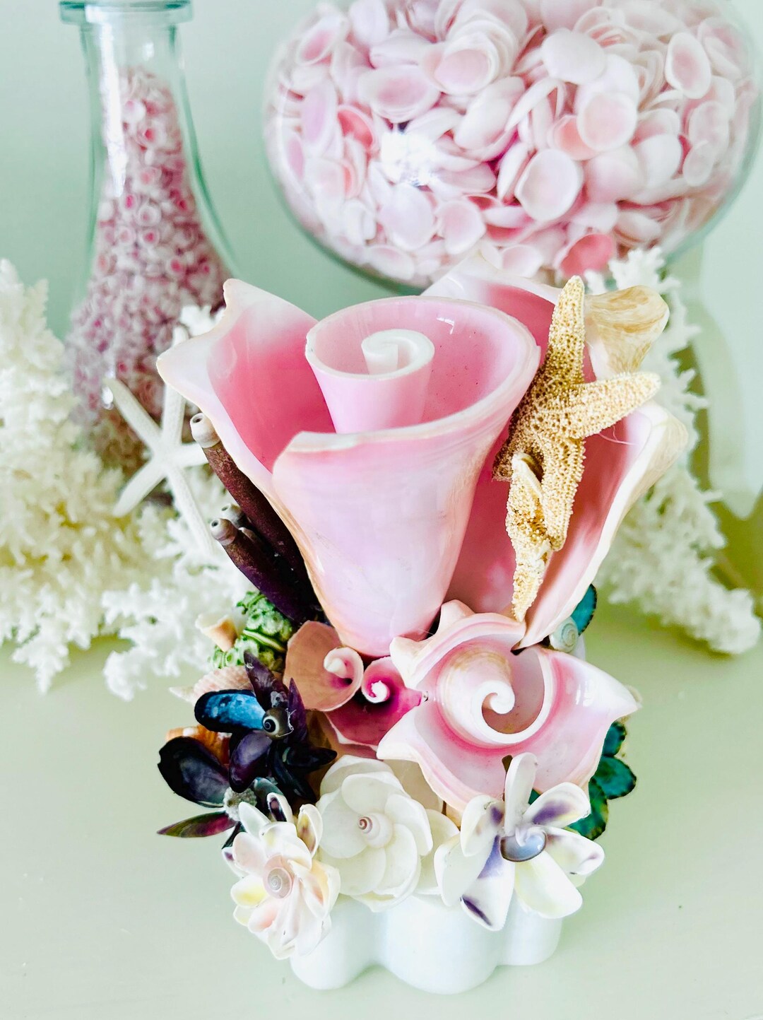 Under the Sea Queen Conch Flower Diorama Seashell Arrangement for Home ...
