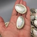 Oval Abalone Sea Shells for Crafts, Beach Decor, Gift, Collection ...