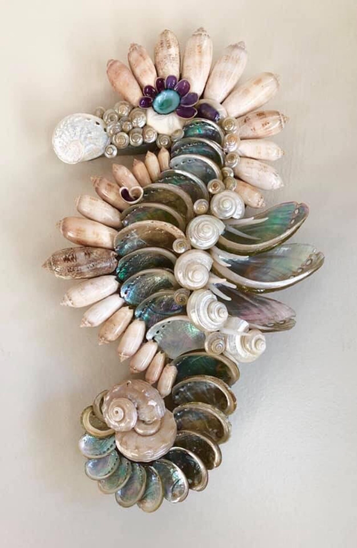 Oval abalone sea shells for crafts beach decor gift | Etsy