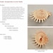 Starburst Carrier Shell (stellaria Solaris) for Coastal Home Decor ...
