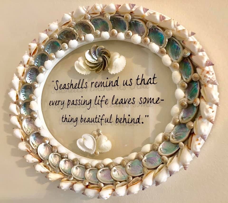 Oval Abalone Sea Shells for Crafts, Beach Decor, Gift, Collection ...