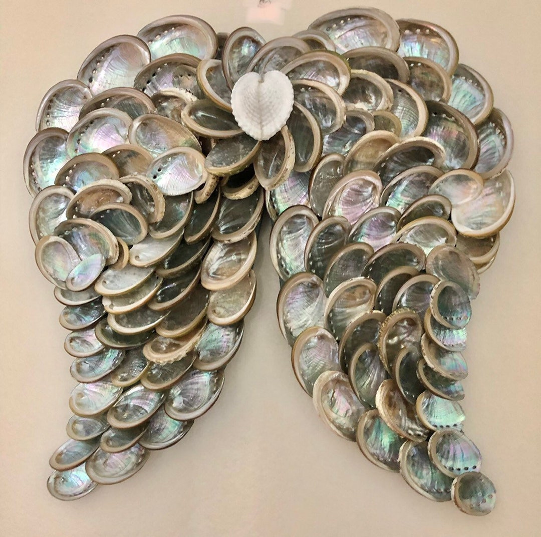 Abalone Seashell Angel Wings for Home Coastal Wall Beach - Etsy Denmark