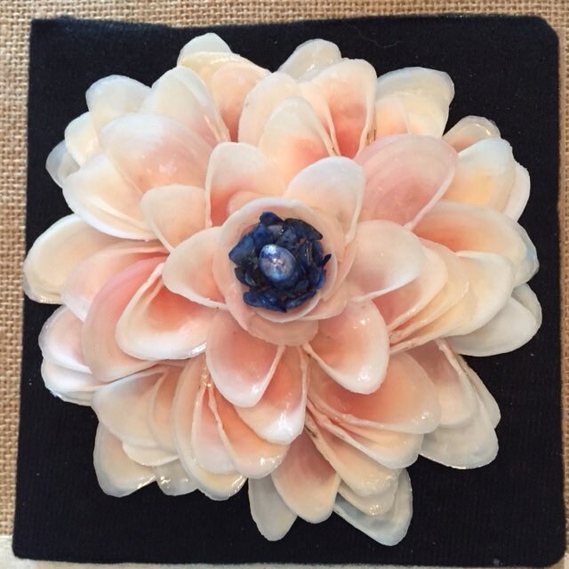 FREE SHIPPING Rose Tellin Sea Shells for Crafts Beach Decor - Etsy