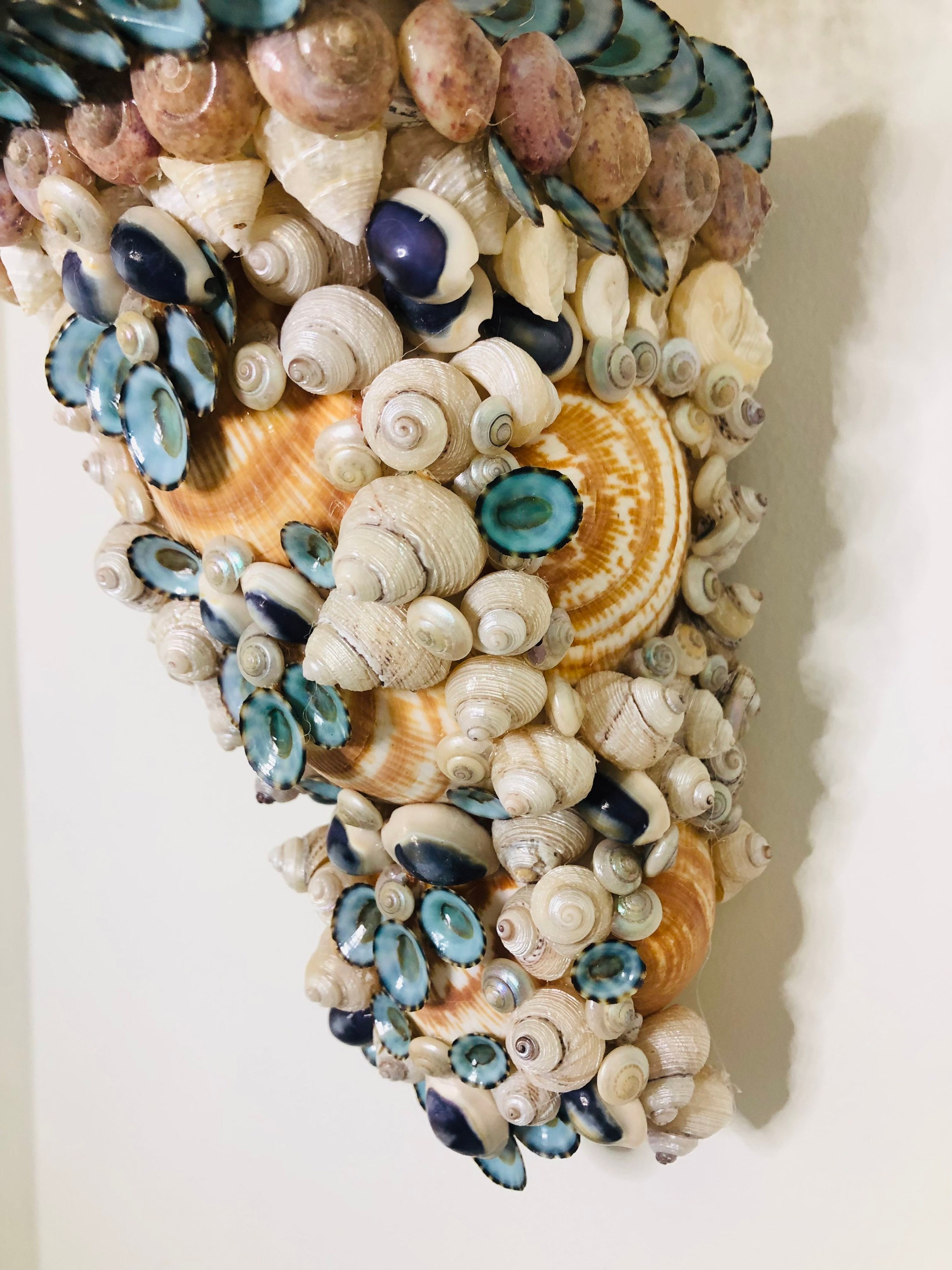 Seashell Wall Sconce Shelf for Home and Coastal Decor, Interior Design ...
