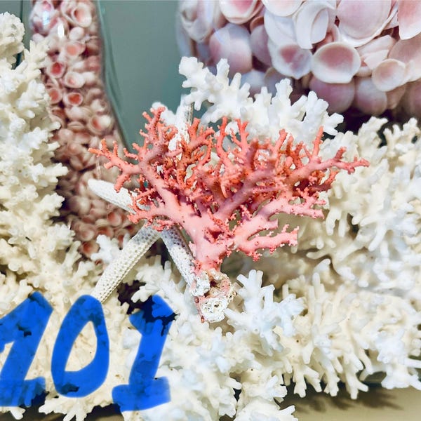 ShellandSeaCreations - Etsy