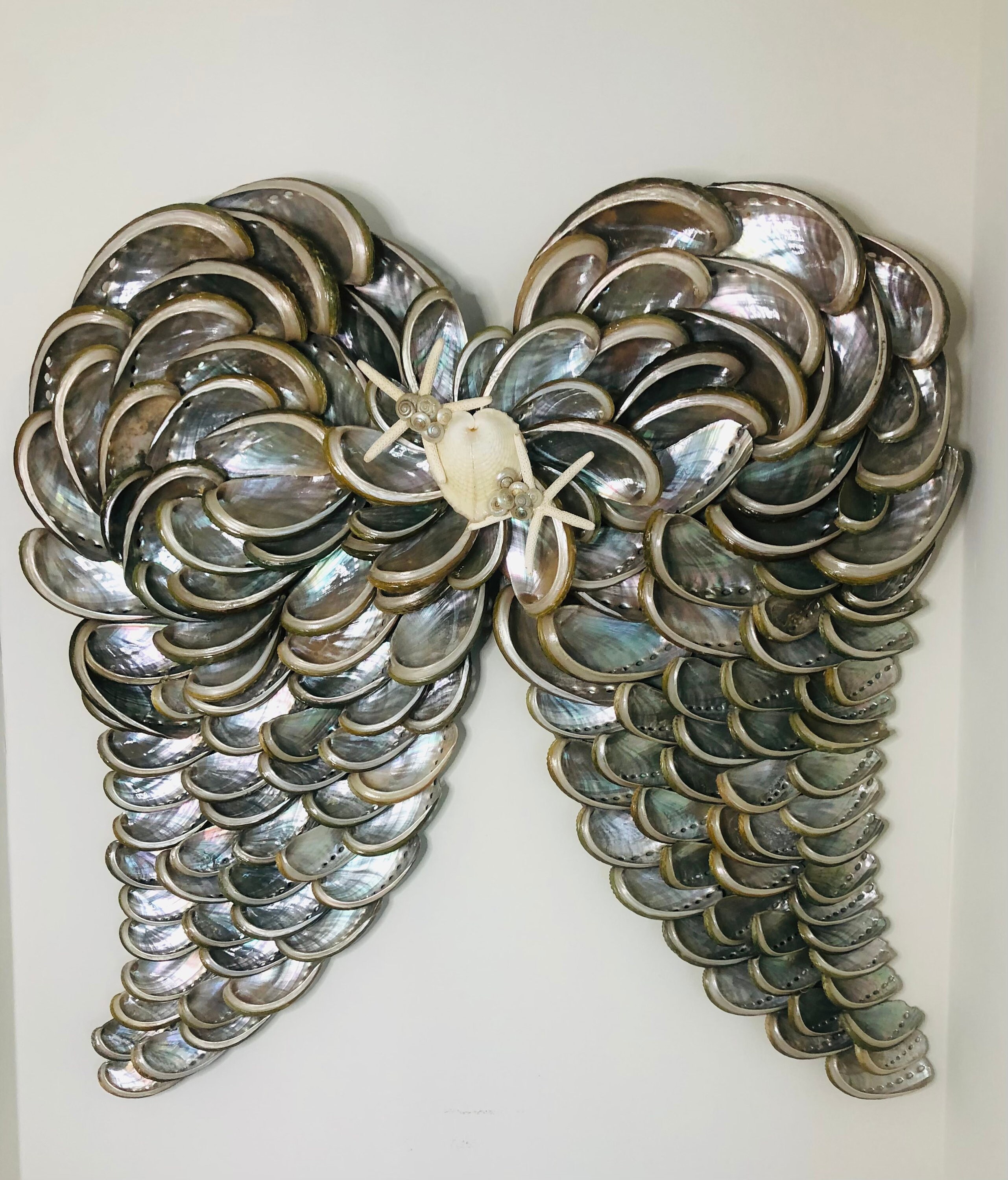 Abalone Seashell Angel Wings for Home Coastal Wall Beach - Etsy