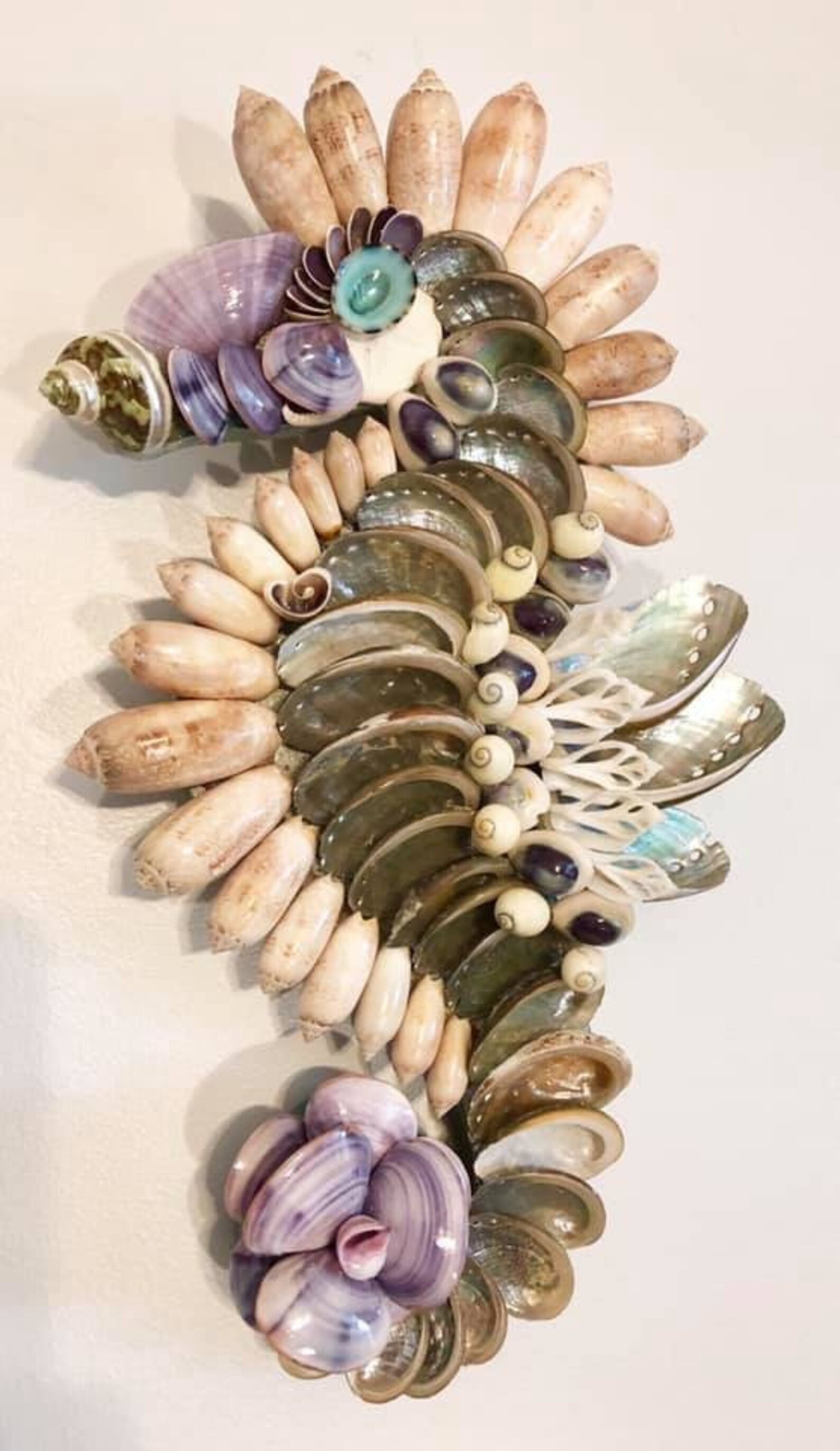 Set of 20 Lettered Olive Seashells, 1-2 1/2 Inches Each, for Crafts ...