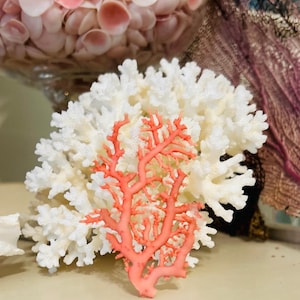 ShellandSeaCreations - Etsy