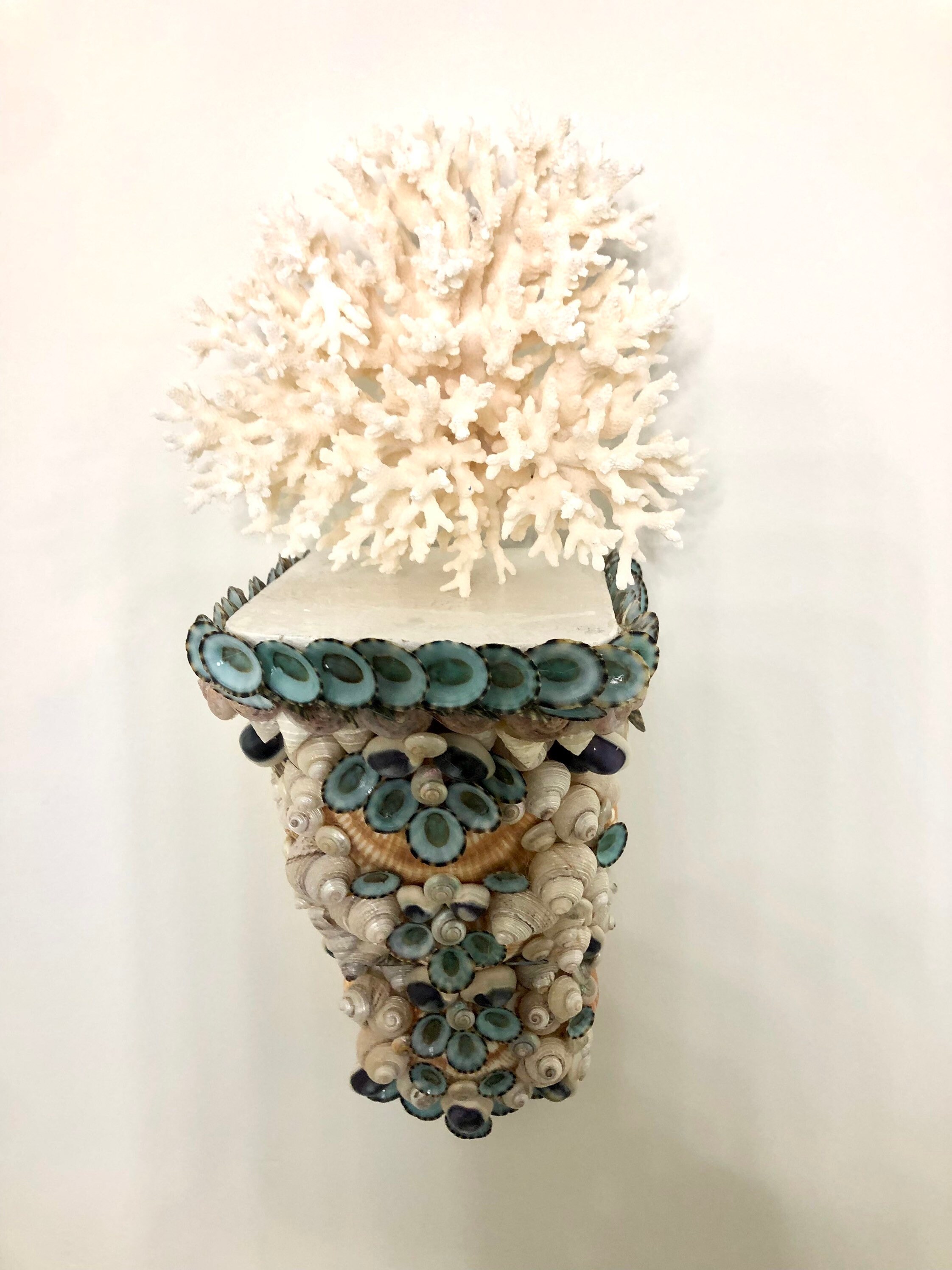 Seashell Wall Sconce Shelf for Home and Coastal Decor - Etsy