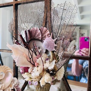 Small Shark Eye Shells for Crafts, Shell Art, Sailors Valentine ...