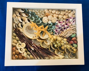 Seashell Shadow Box - Etsy